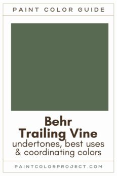 Behr Trailing Vine: a complete color review - The Paint Color Project