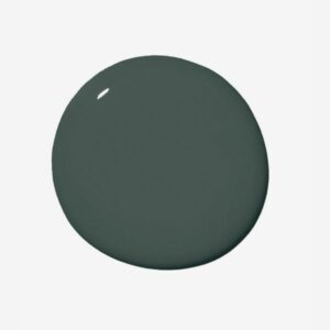 Forest Green vs Hunter Green: what is the difference? - The Paint Color ...