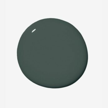 Forest Green vs Hunter Green: what is the difference? - The Paint Color ...