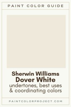 Sherwin Williams Dover White: Complete Color Review - The Paint Color ...