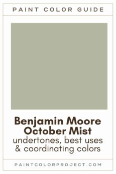 Benjamin Moore October Mist: A Complete Color Review - The Paint Color ...