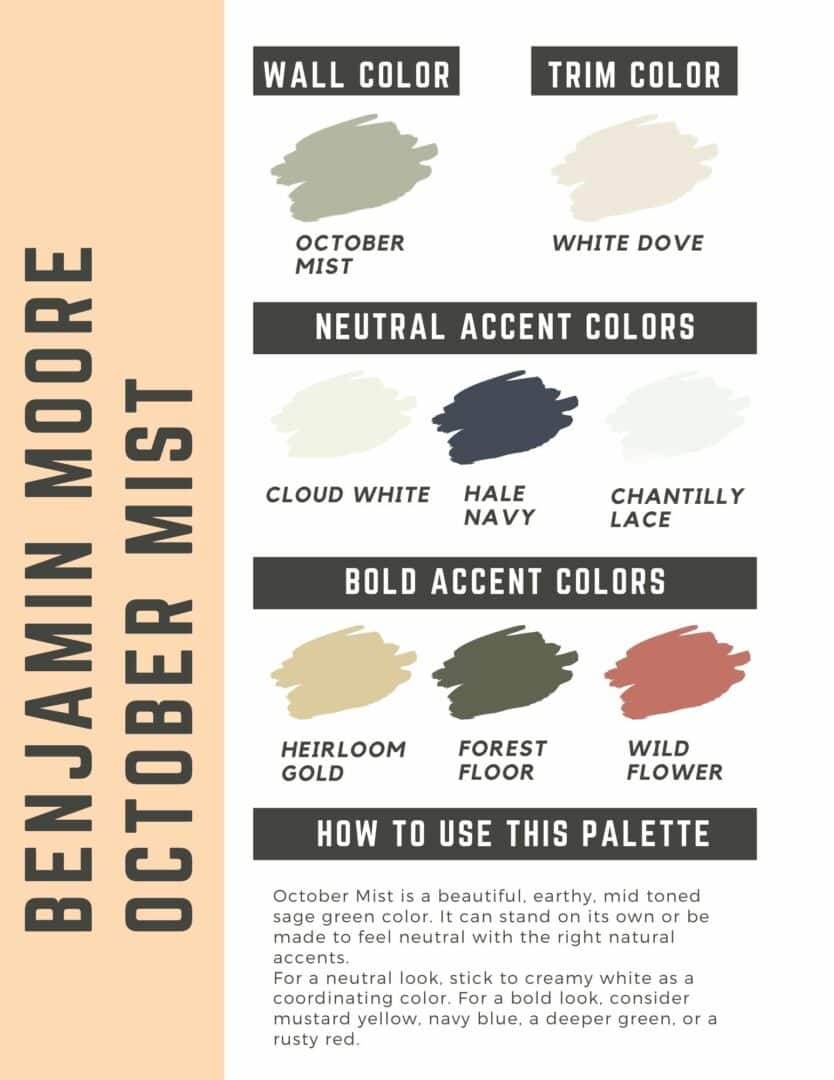Benjamin Moore October Mist: a complete color review - The Paint Color ...