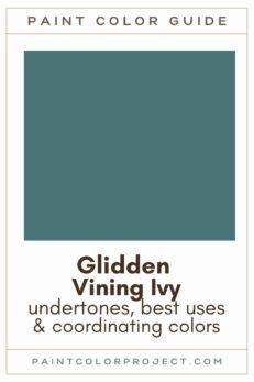 Glidden Vining Ivy: complete color review - The Paint Color Project