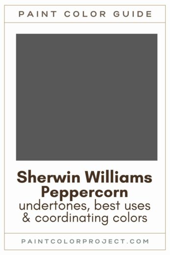 Sherwin Williams Peppercorn: a complete color review - The Paint Color ...