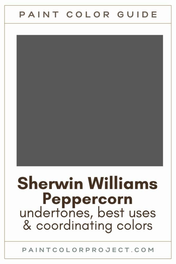 Sherwin Williams Peppercorn: a complete color review - The Paint Color ...