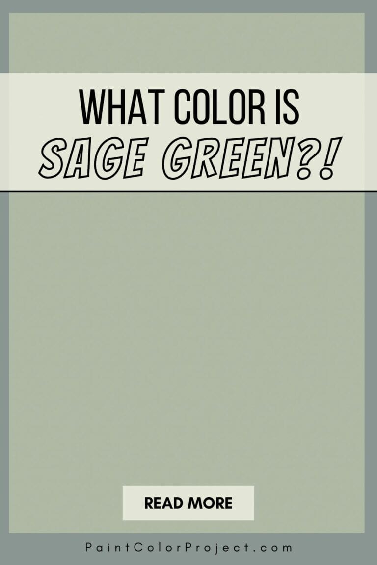 Everything about the color Sage Green - The Paint Color Project