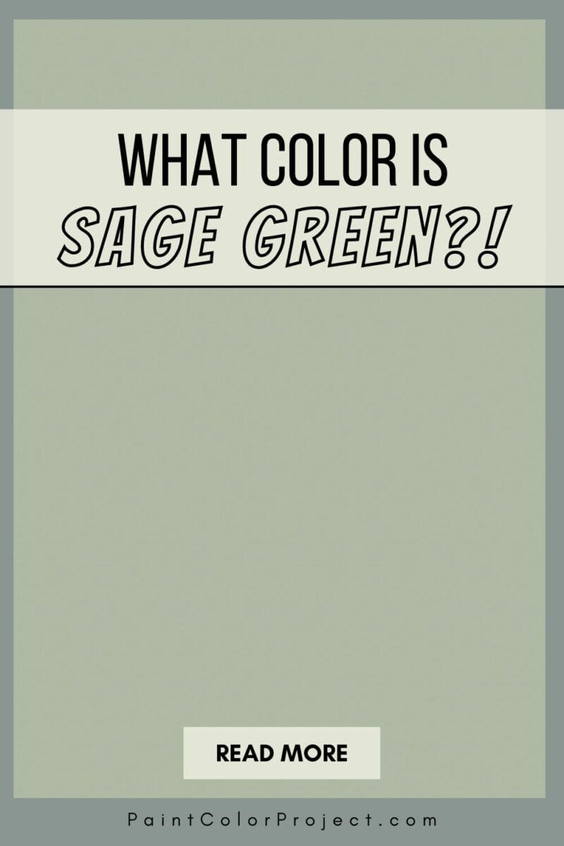 Everything about the color Sage Green - The Paint Color Project