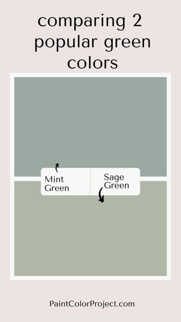 Mint green vs Sage green - what is the difference? - The Paint Color ...