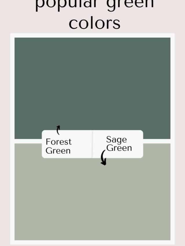 The 7 best Behr Sage Green paint colors - The Paint Color Project