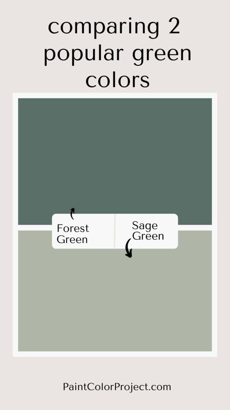 Forest green vs Sage green - what's the difference? - The Paint Color ...