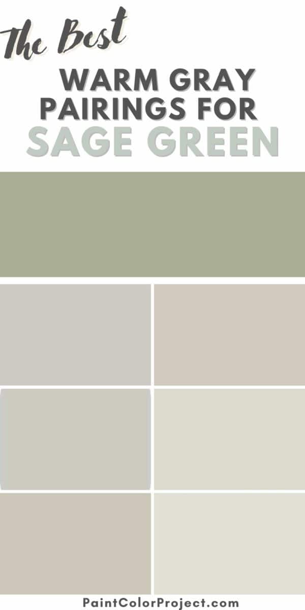 Everything about the color Sage Green - The Paint Color Project