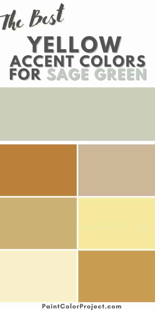 The best colors that go with sage green - The Paint Color Project