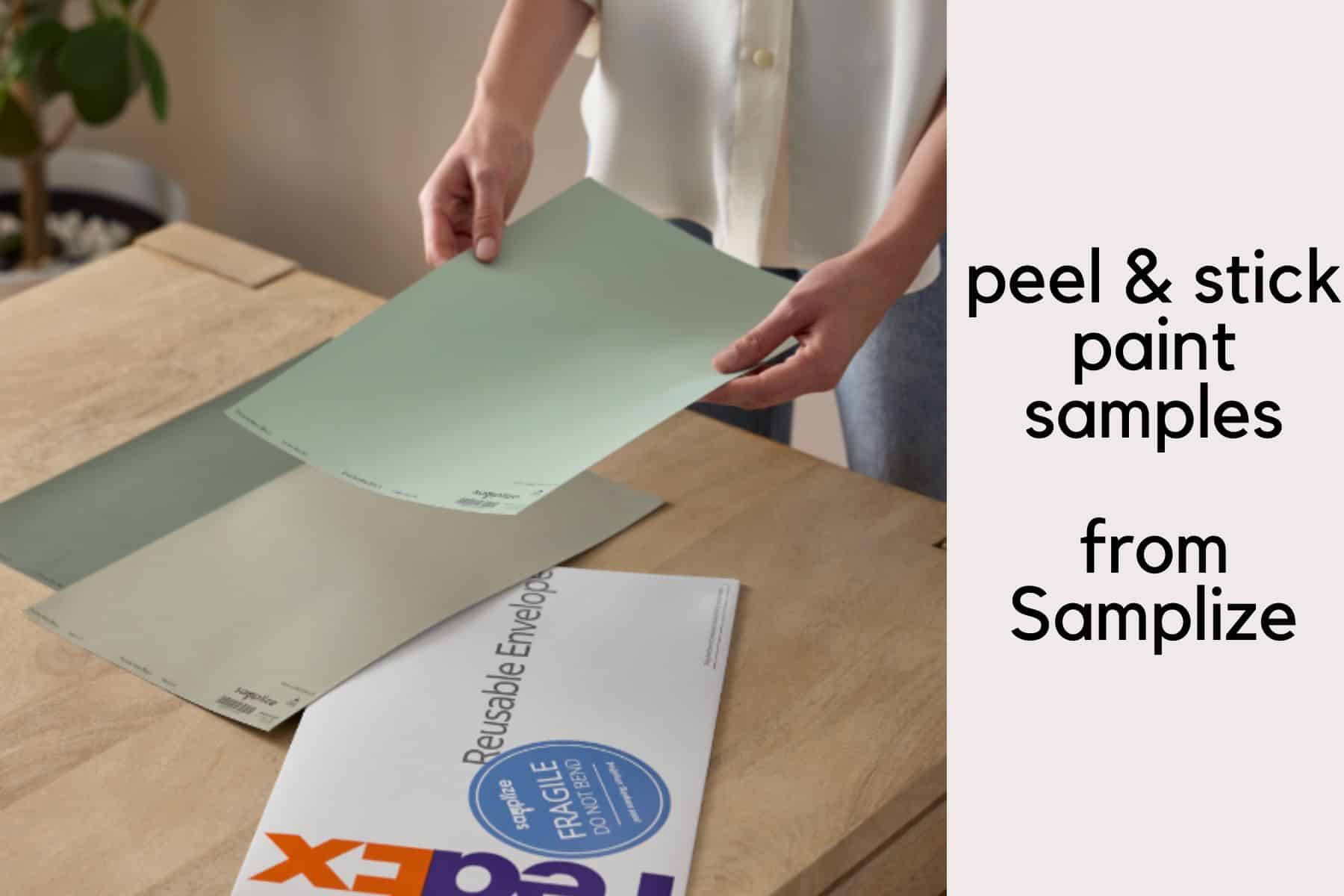 Explore Our Expert Services and Products - The Paint Color Project