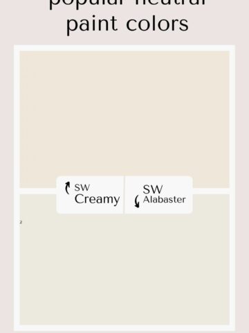 12 best Benjamin Moore Cream Paint Colors - The Paint Color Project