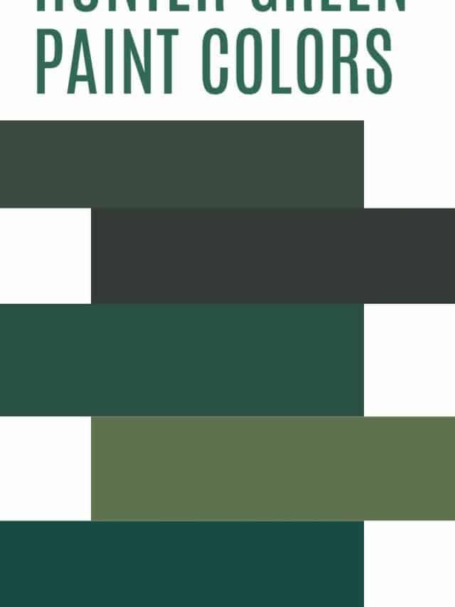 The best Forest Green paint colors - The Paint Color Project