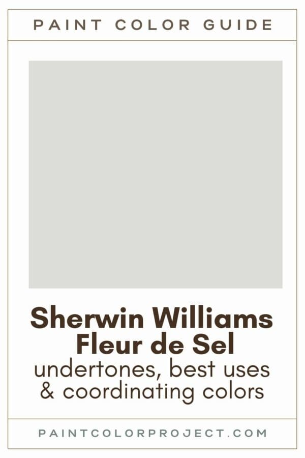 Sherwin Williams Fleur de Sel: a complete color review - The Paint ...