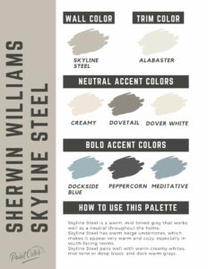 Sherwin Williams Skyline Steel: a complete color review - The Paint ...