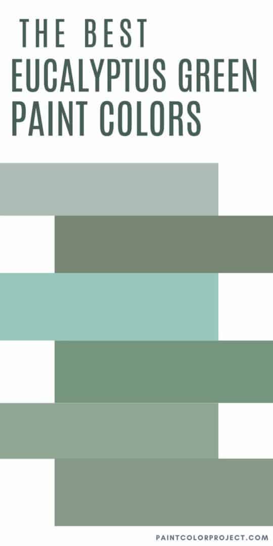 Best Eucalyptus Green Paint Colors - The Paint Color Project