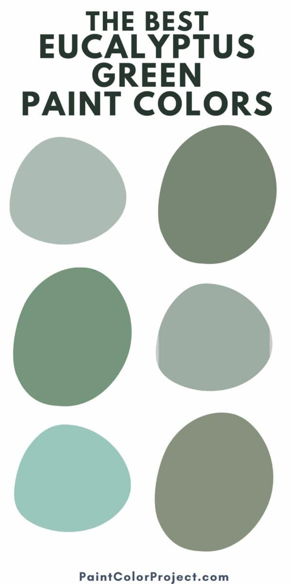 Best Eucalyptus Green Paint Colors - The Paint Color Project