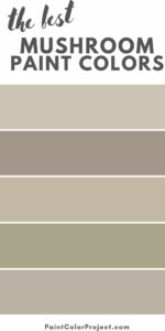 15 best Mushroom paint colors - The Paint Color Project