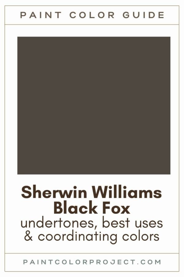 Sherwin Williams Black Fox: a complete color review - The Paint Color ...