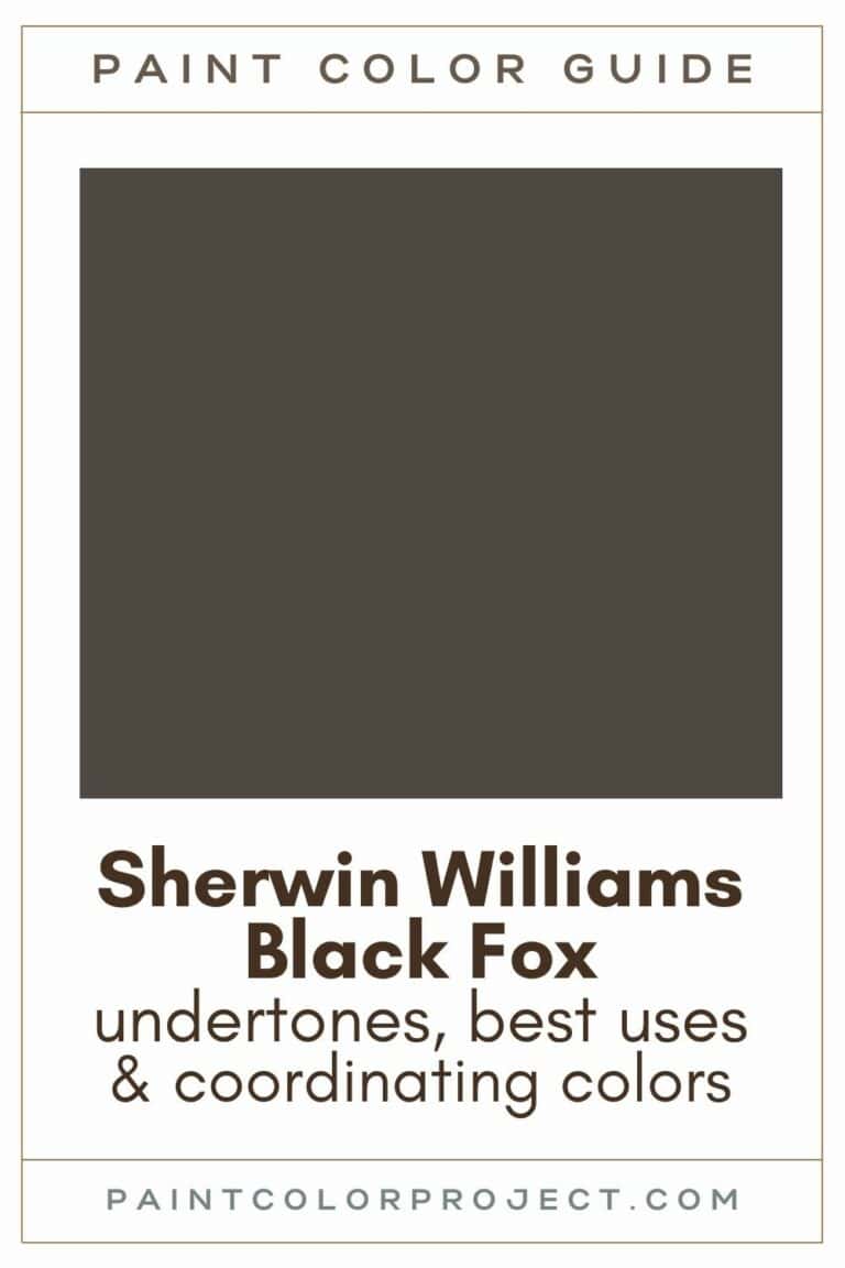 Sherwin Williams Black Fox: a complete color review - The Paint Color ...