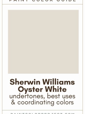 Sherwin Williams Black Fox: a complete color review - The Paint Color ...