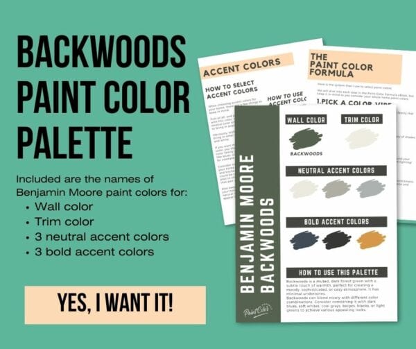 Benjamin Moore Backwoods: a complete color review - The Paint Color Project