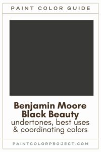 Benjamin Moore Black Beauty: a complete color review - The Paint Color ...