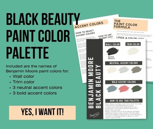 Benjamin Moore Black Beauty: a complete color review - The Paint Color ...