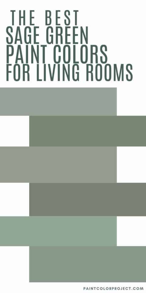 The best sage green paint colors for living rooms - The Paint Color Project
