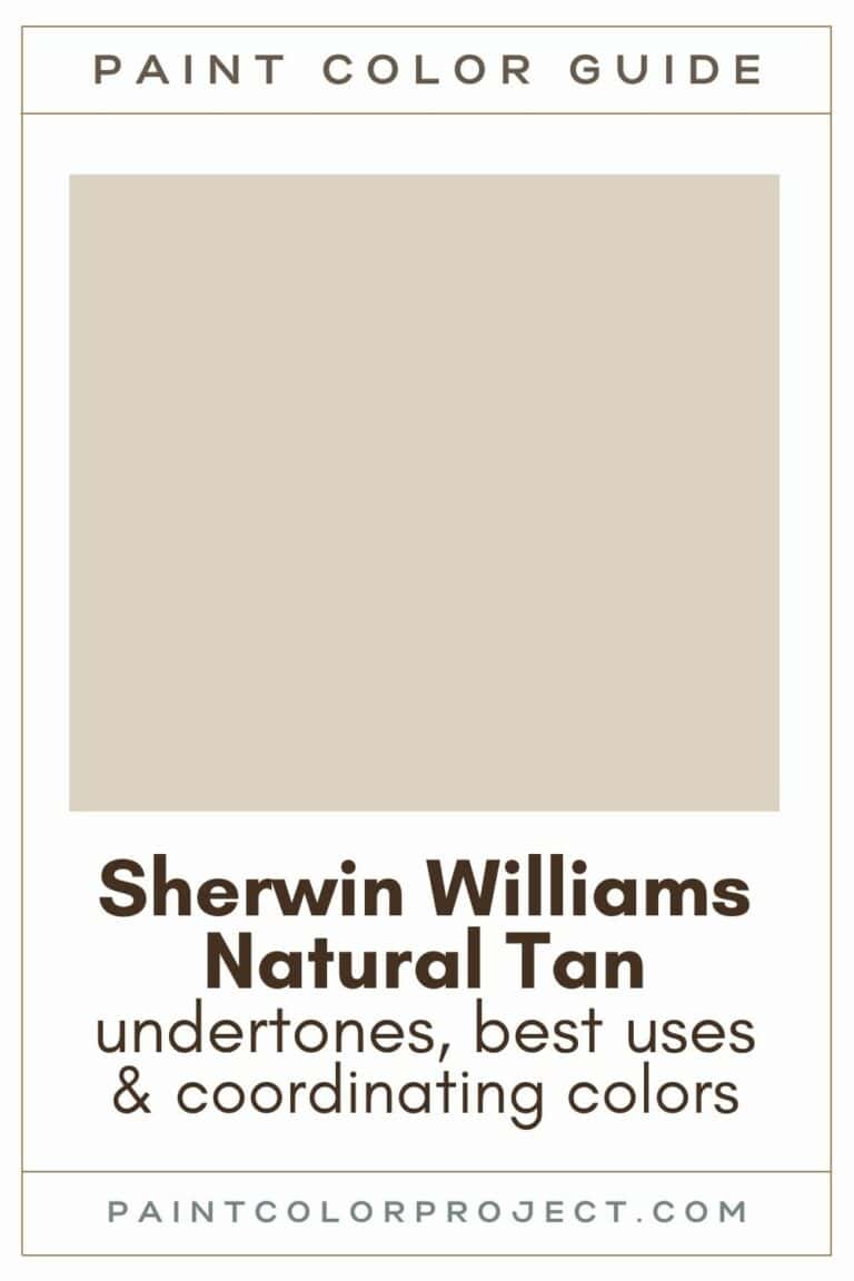 Sherwin Williams Natural Tan: a complete color review - The Paint Color Project
