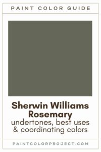 Sherwin Williams Rosemary: A Complete Color Review - The Paint Color ...