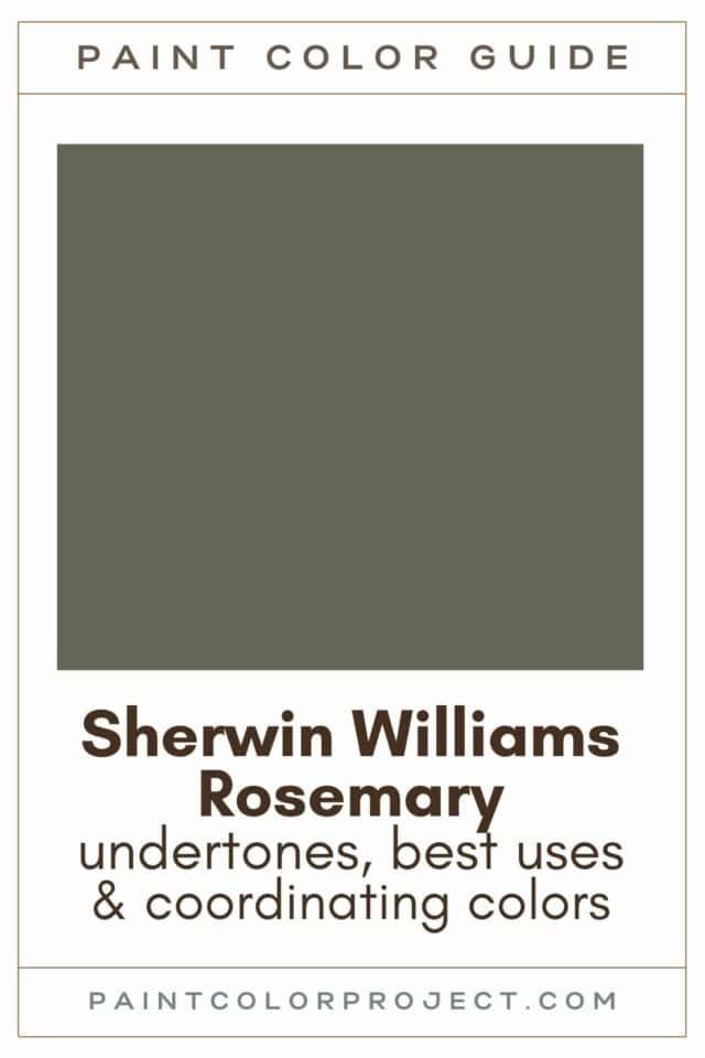 Sherwin Williams Rosemary: A Complete Color Review - The Paint Color ...
