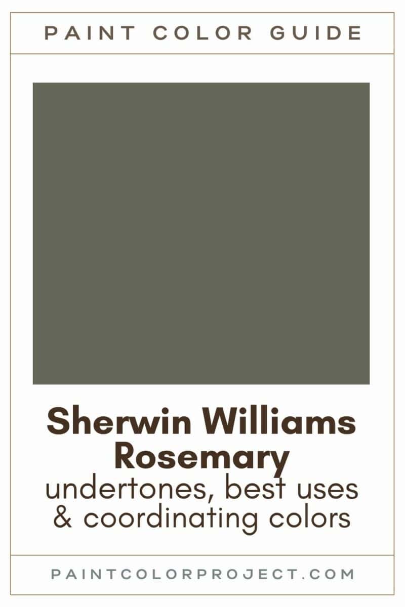 Sherwin Williams Rosemary: A Complete Color Review - The Paint Color ...