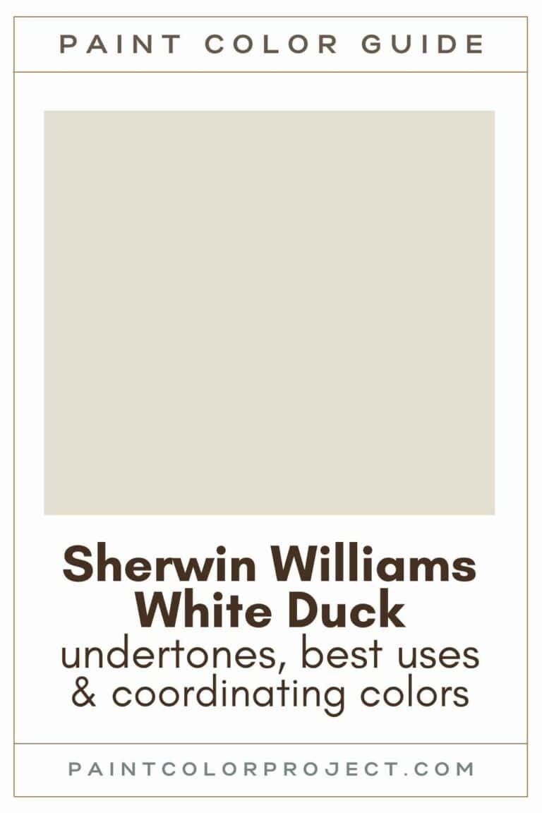 Sherwin Williams White Duck: Complete Color Review - The Paint Color ...