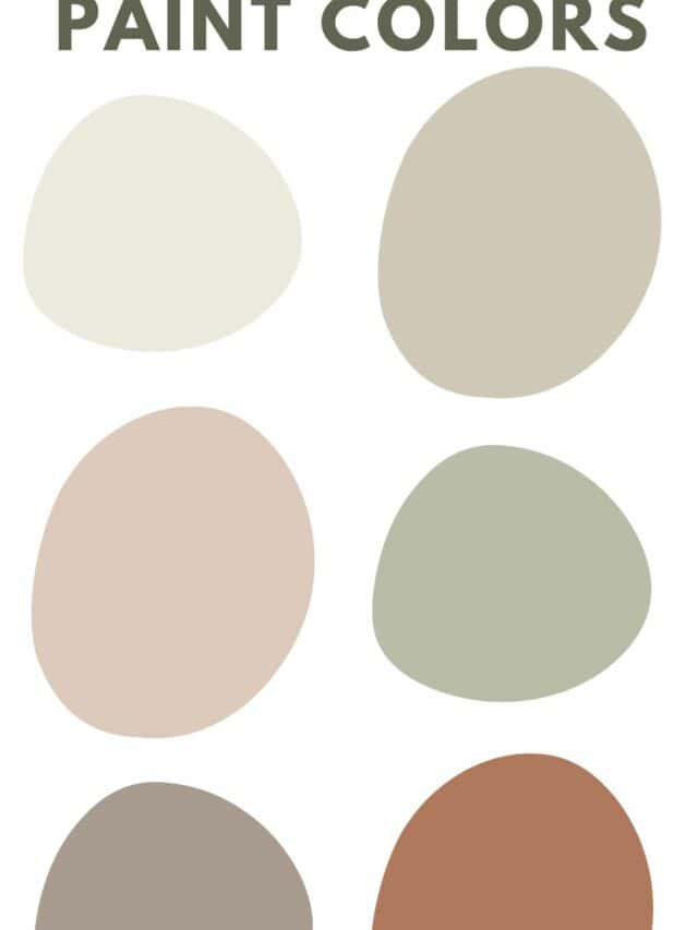 Sherwin Williams Natural Tan vs Accessible Beige: let's compare! - The ...