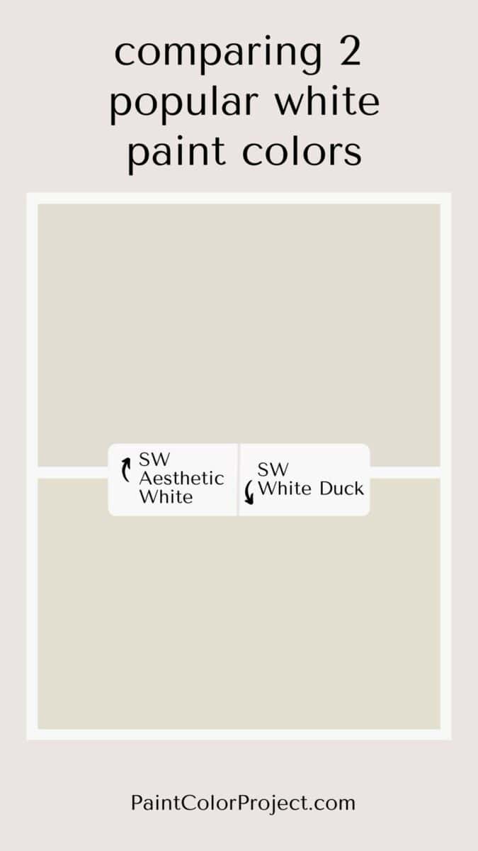 Sherwin Williams Aesthetic White vs White Duck: Let's Compare! - The ...