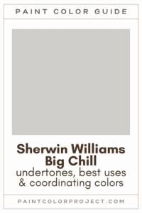 Sherwin Williams Big Chill: Complete Color Review - The Paint Color Project