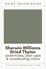 Sherwin Williams Dried Thyme: A Complete Color Review - The Paint Color ...