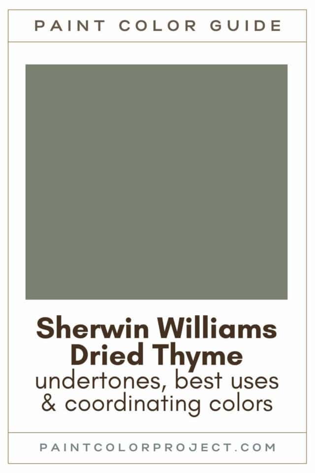 Sherwin Williams Dried Thyme: A Complete Color Review - The Paint Color Project