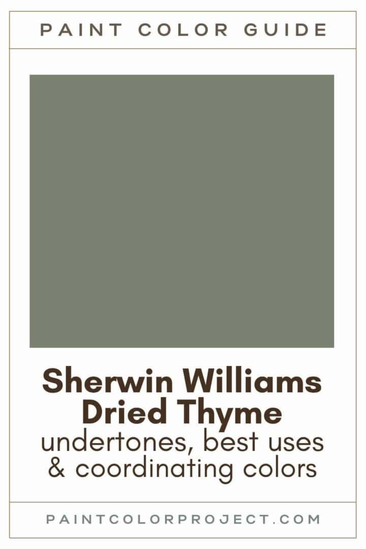 Sherwin Williams Dried Thyme: A Complete Color Review - The Paint Color ...