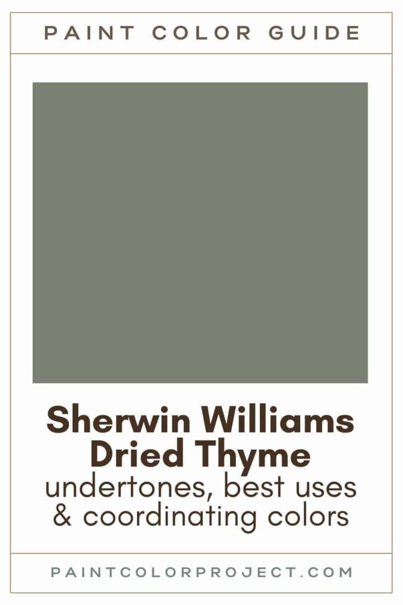 Sherwin Williams Dried Thyme: A Complete Color Review - The Paint Color ...