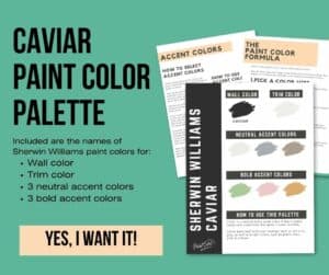 Sherwin Williams Caviar: Complete Color Review - The Paint Color Project