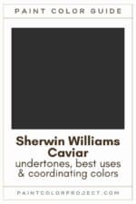 Sherwin Williams Caviar: Complete Color Review - The Paint Color Project