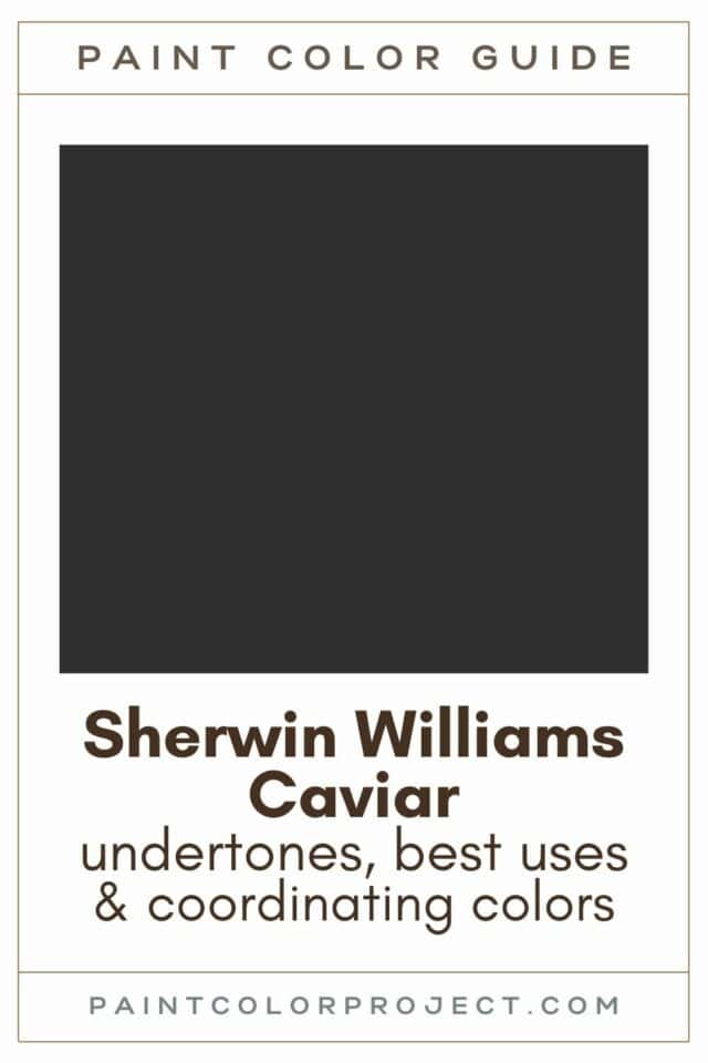 Sherwin Williams Caviar: Complete Color Review - The Paint Color Project