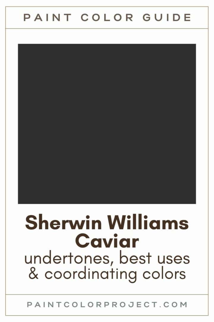 Sherwin Williams Caviar: Complete Color Review - The Paint Color Project