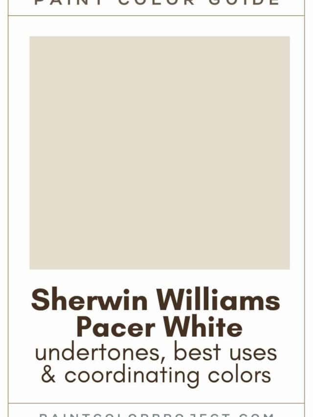 The Best Basement Paint Colors - The Paint Color Project