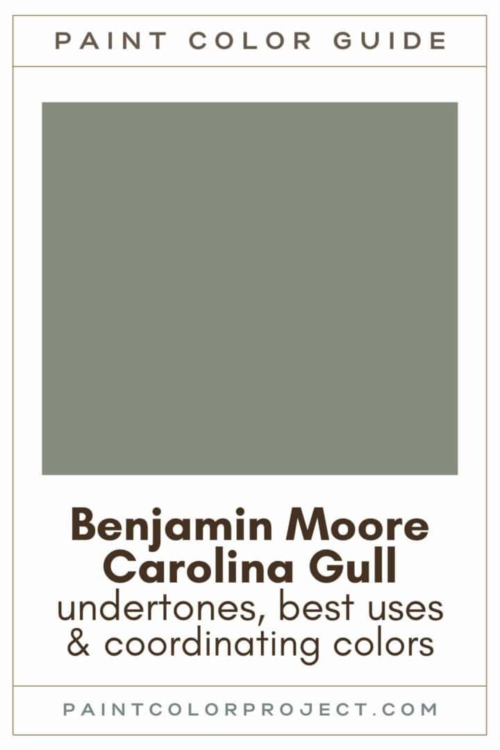 Benjamin Moore Carolina Gull: Complete Color Review - The Paint Color ...