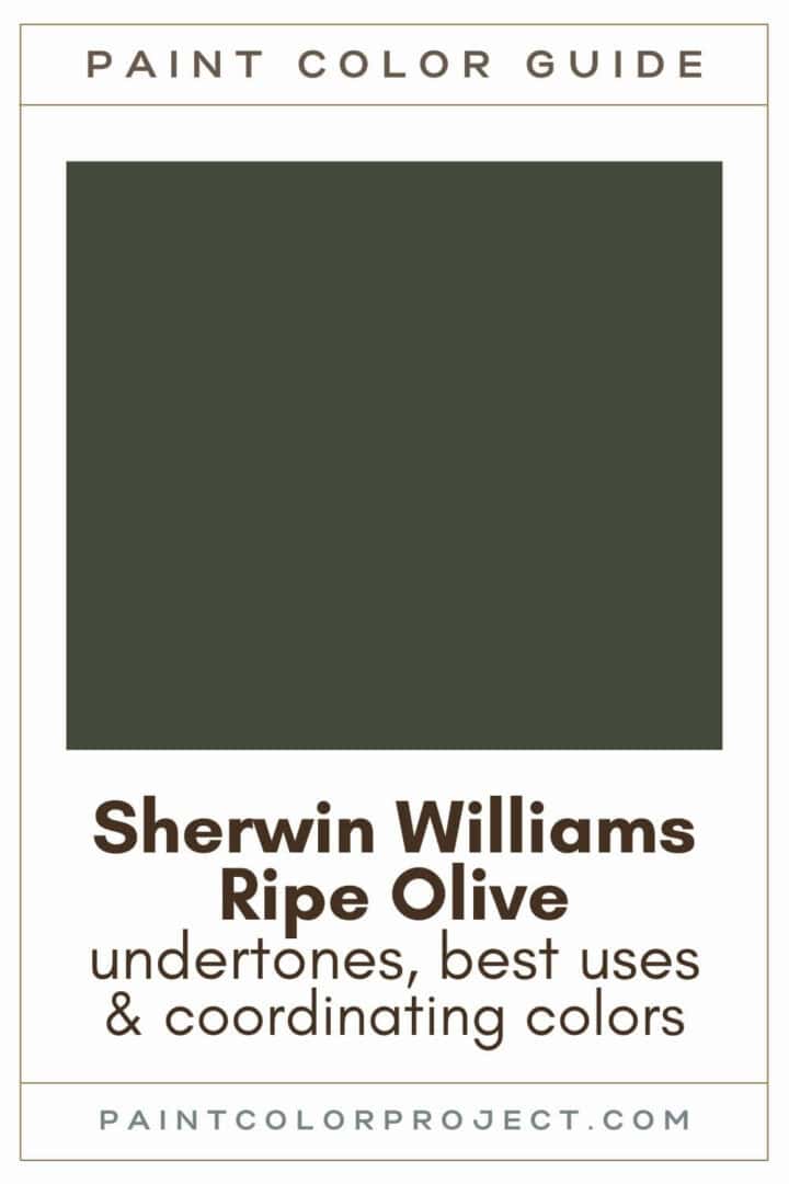 What Colors Go With Olive Green? 14 Color Combinations That Work ...